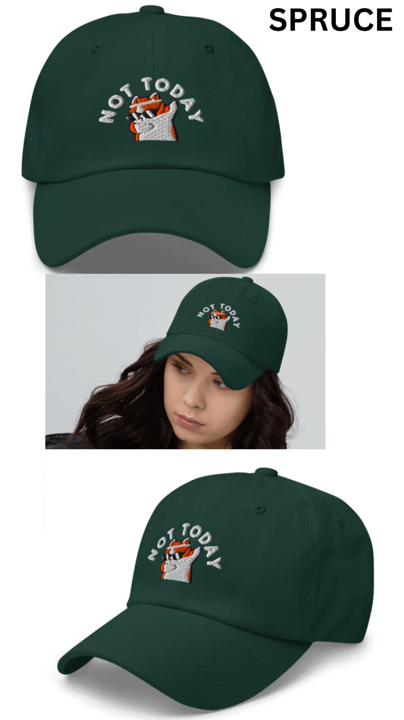 Boné Gato Laranja "Hoje Não" - Boné de beisebol bordado, presente ...