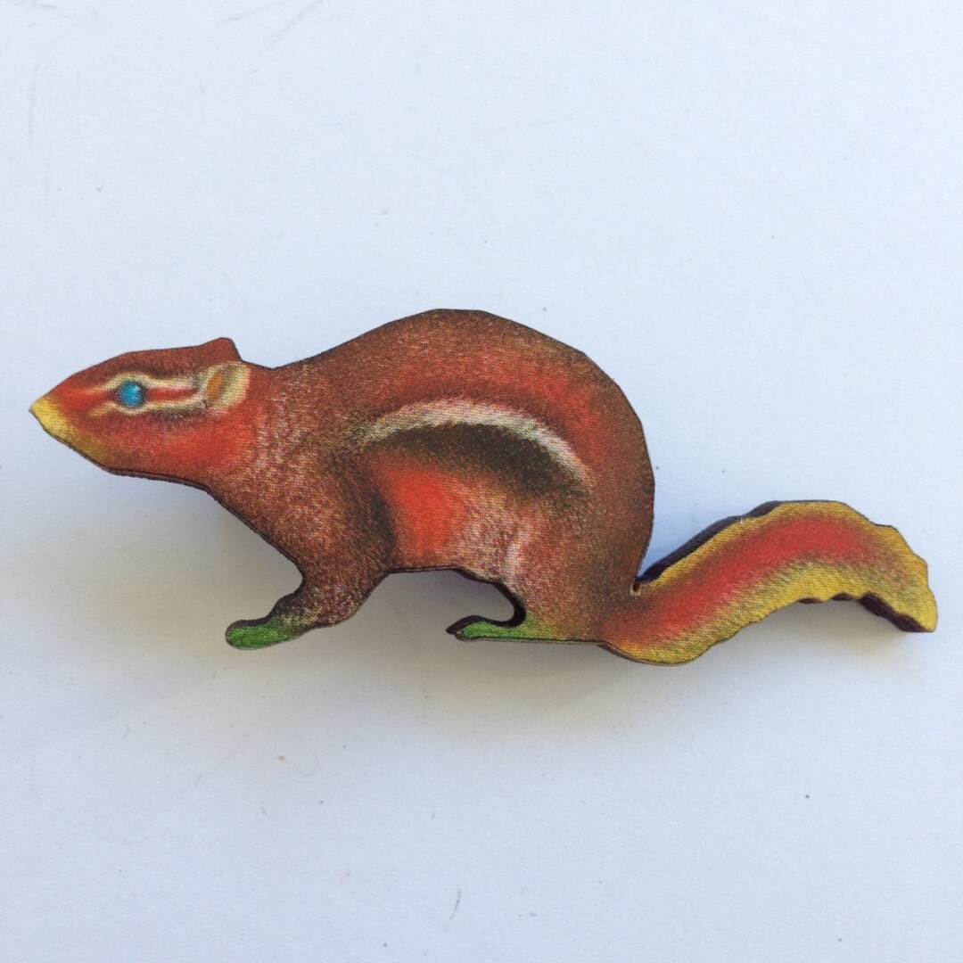 Red Squirrel Wooden Brooch Pin Gift Laser Cut for Outdoors Woodland ...