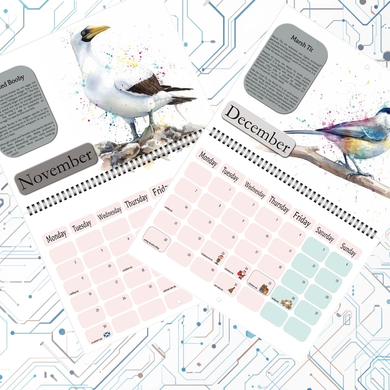 Funny Rude 2026 Calendar for Him With All the Weird Days Marked Up - Etsy