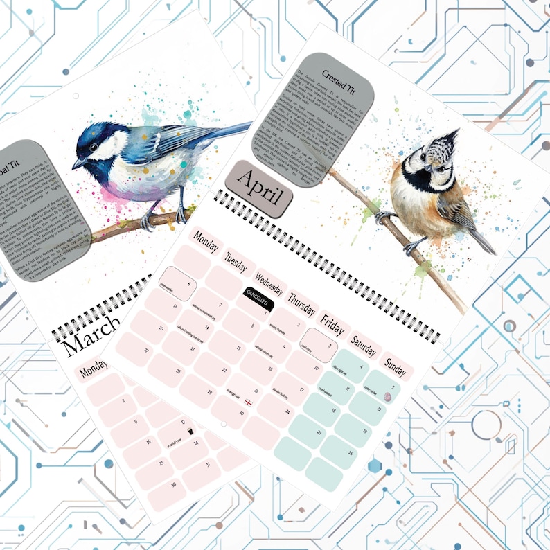 Funny Rude 2026 Calendar for Him With All the Weird Days Marked Up ...