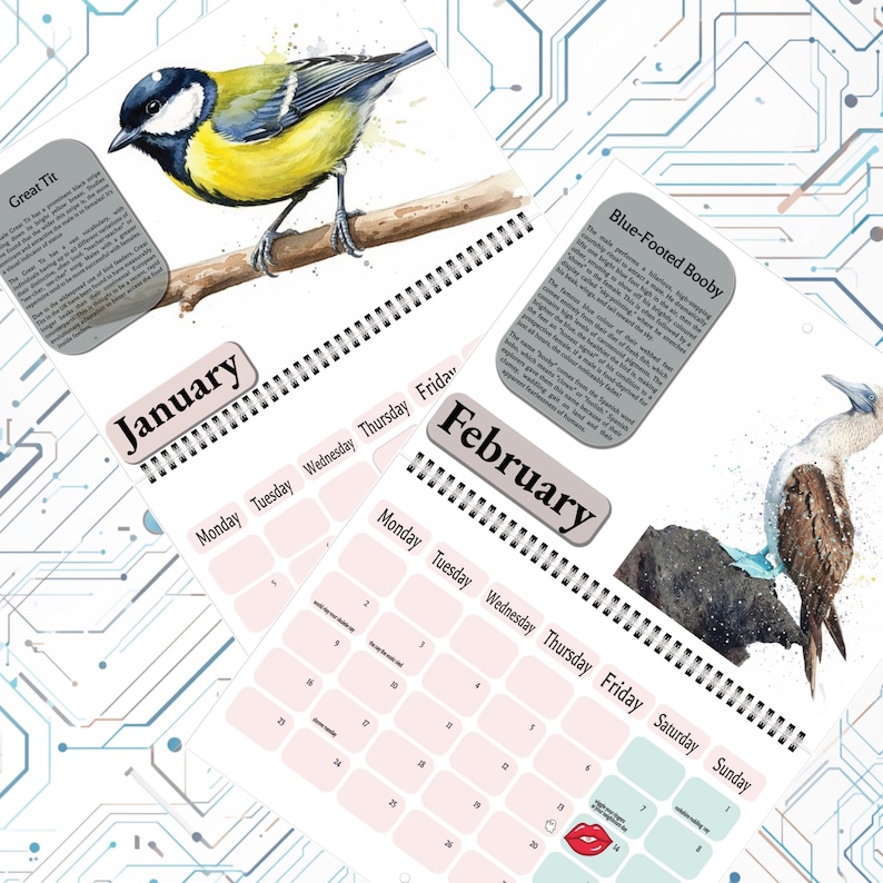 Funny Rude 2026 Calendar for Him With All the Weird Days Marked Up - Etsy