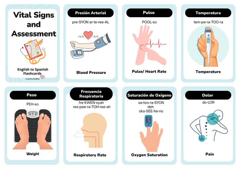 Printable English to Spanish Medical Terminology Basics and Phrases - Etsy