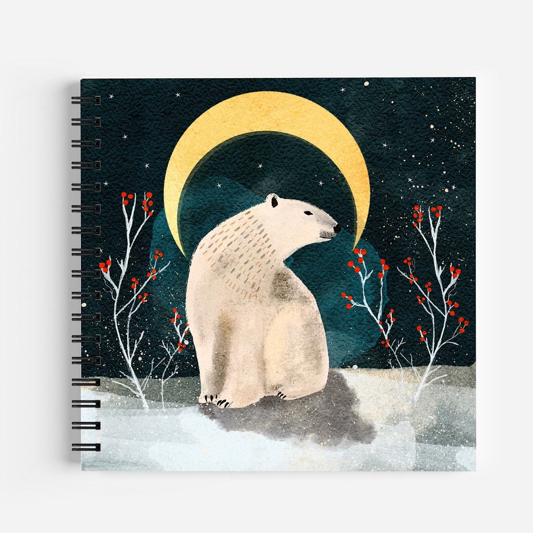 Bear Notebook, Plain Notebook, Square, Journal, Whimsical Gift - Etsy UK