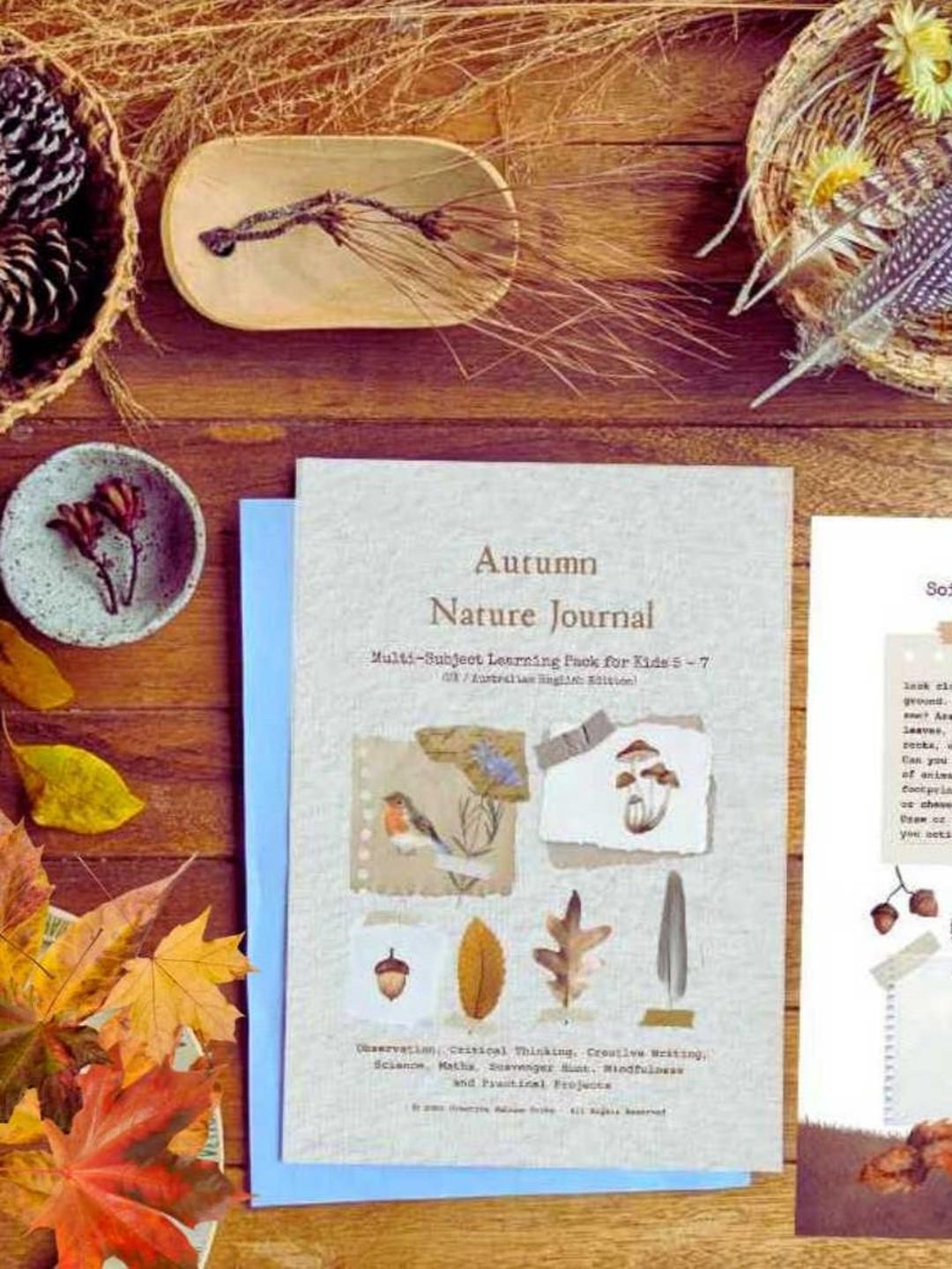 Fall Nature Journal: Scavenger Hunts, STEM for Kids 5-7 (PDF Download ...