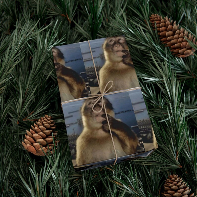 Funny Monkey Meme Wrapping Paper: Humorous Animal Print - Etsy