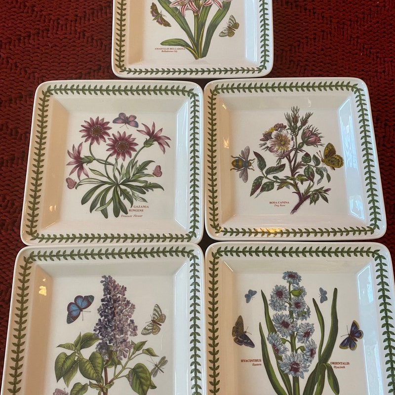 Botanical Plates - Etsy