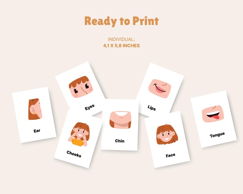 FACE PARTS Flashcards: Montessori Preschool Learning (digital Download ...