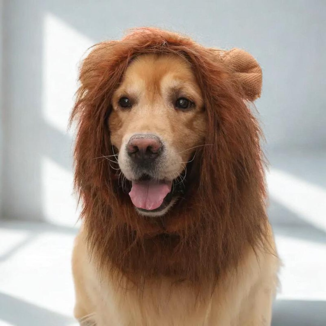 Lion Mane Dog Costume Lion Modelling Hat Pet Wig Cap Large Dog Headwear ...
