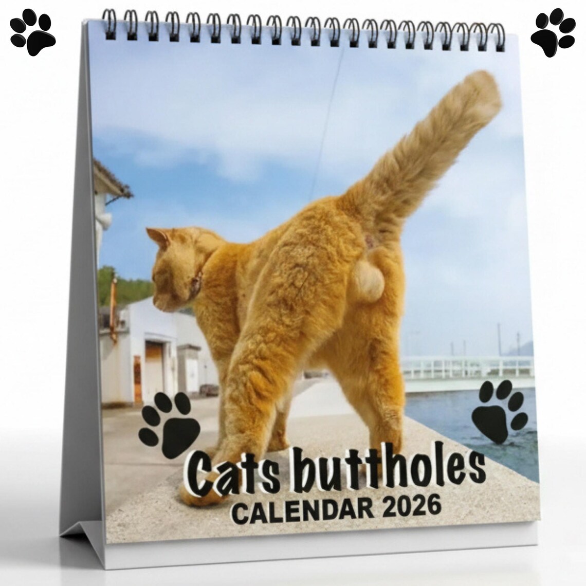 Funny Cat Butt Calendar 2026 – Cute & Silly Cat Bum Wall Calendar ...