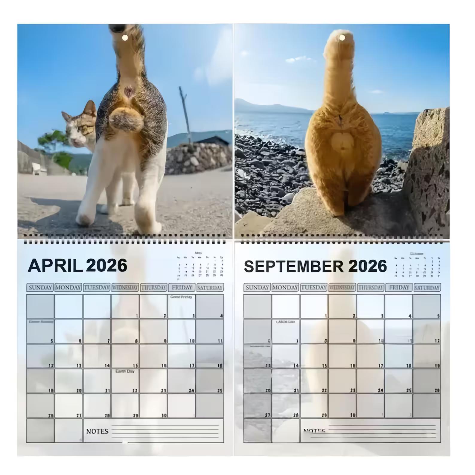 Funny Cat Butt Calendar 2026 – Cute & Silly Cat Bum Wall Calendar ...