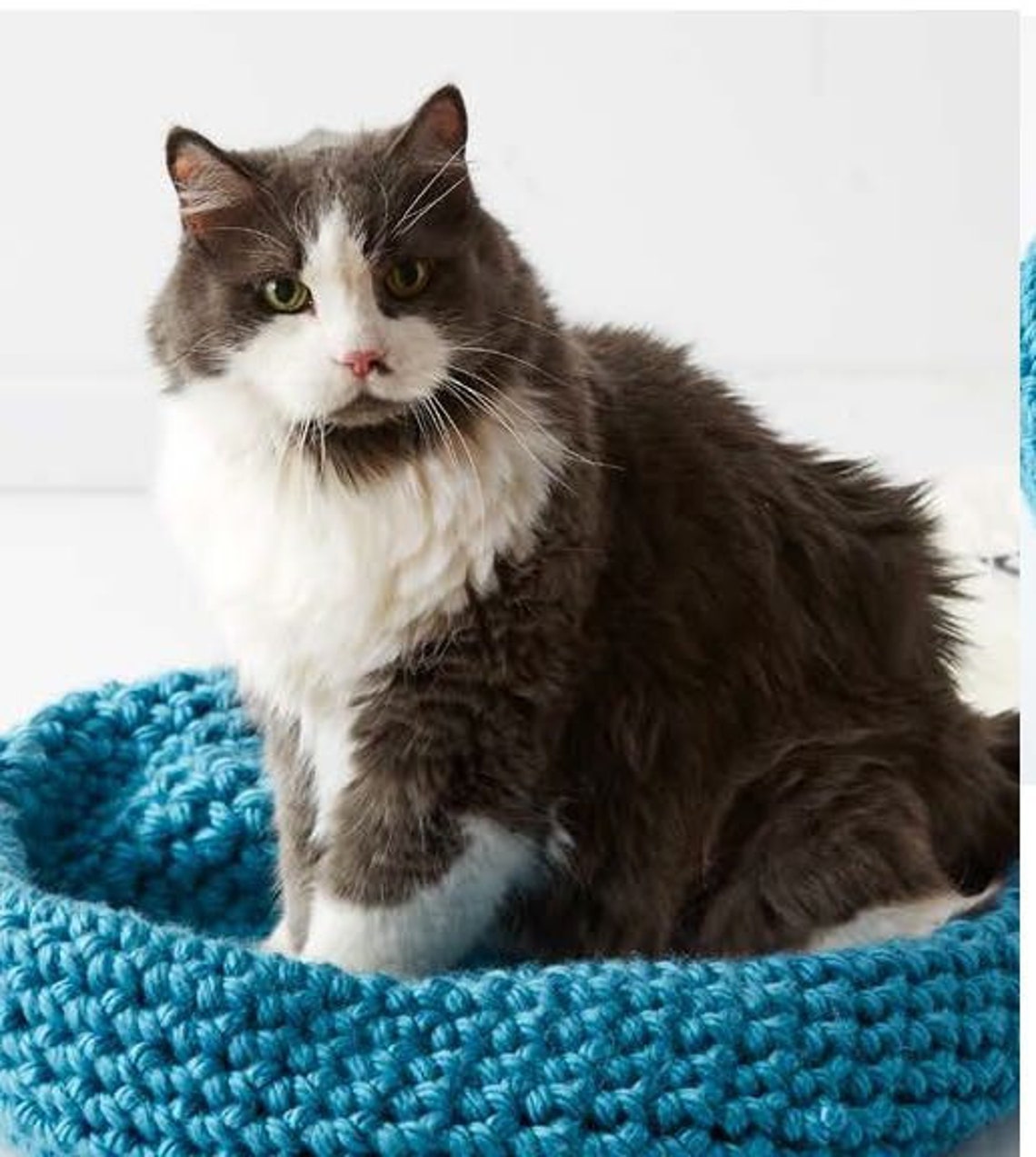 Vintage Round Cat Dog Bed Pattern - Etsy