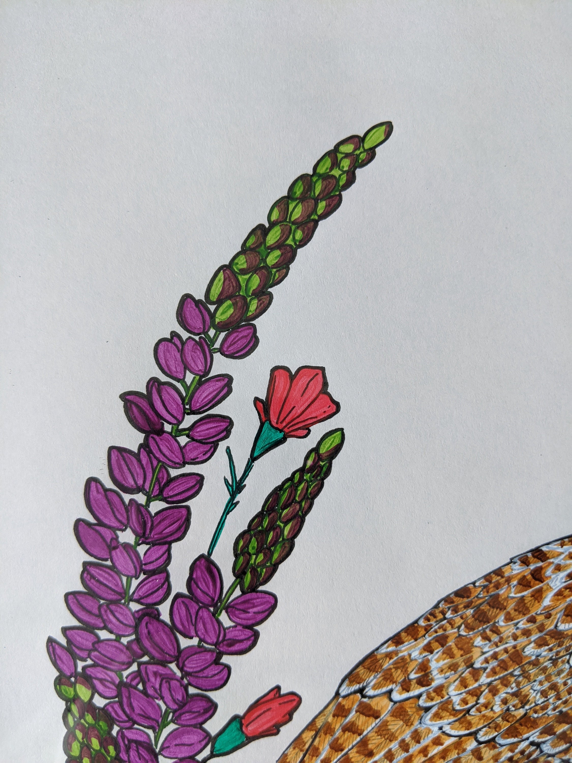 Western Meadowlark Painting - Etsy