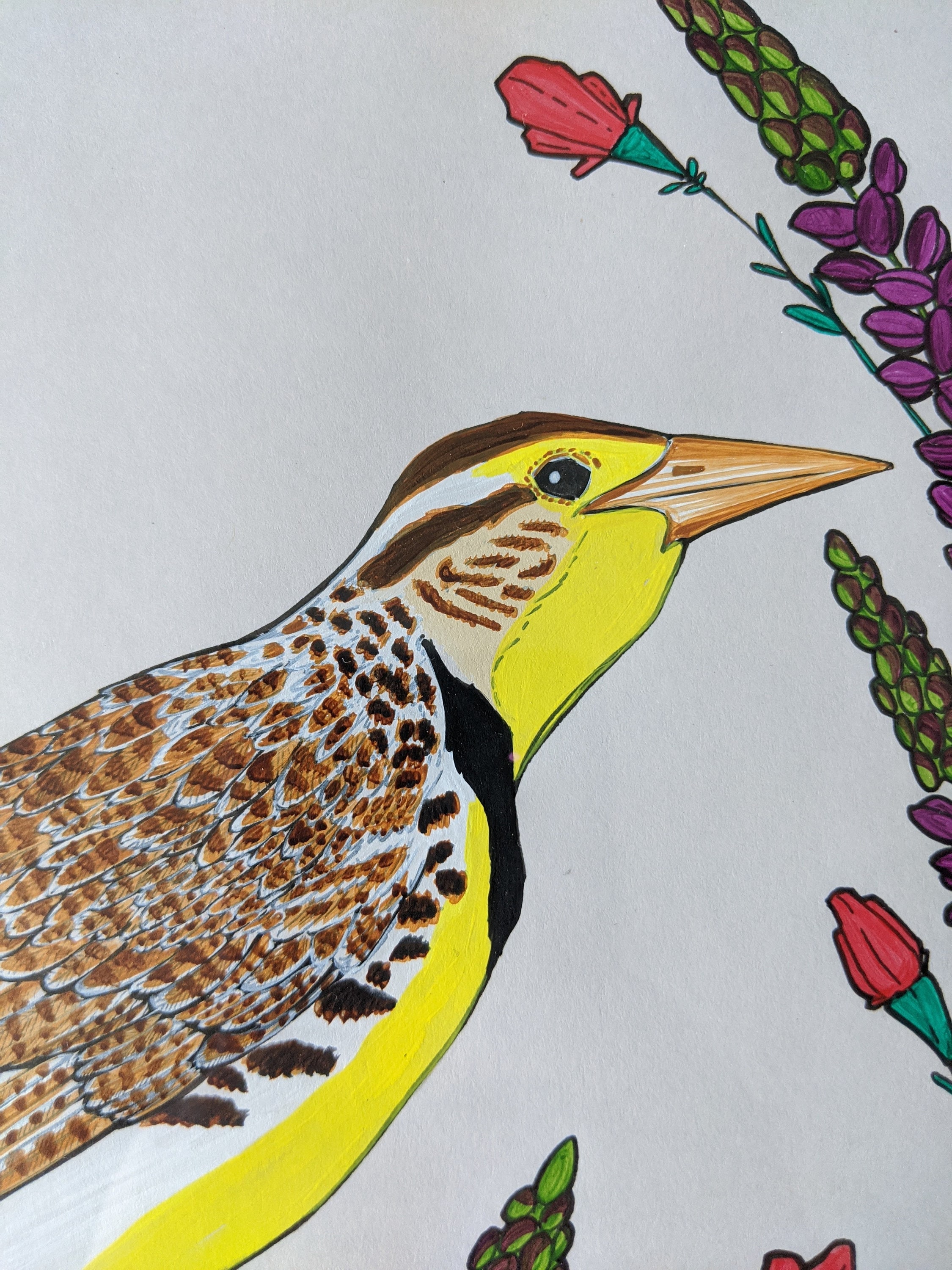 Western Meadowlark Painting - Etsy