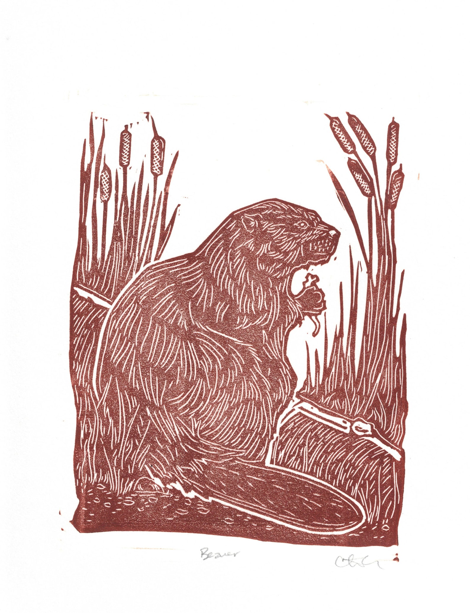 Beaver Linocut - Etsy
