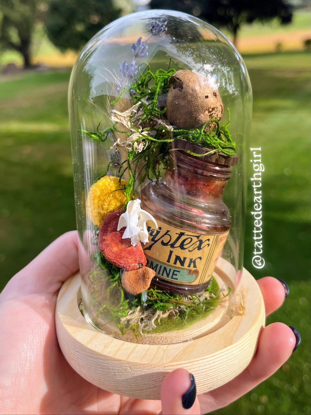 Vintage Bottle/wasp Gall/rodent Skeleton Cloche Display- “gall and ...