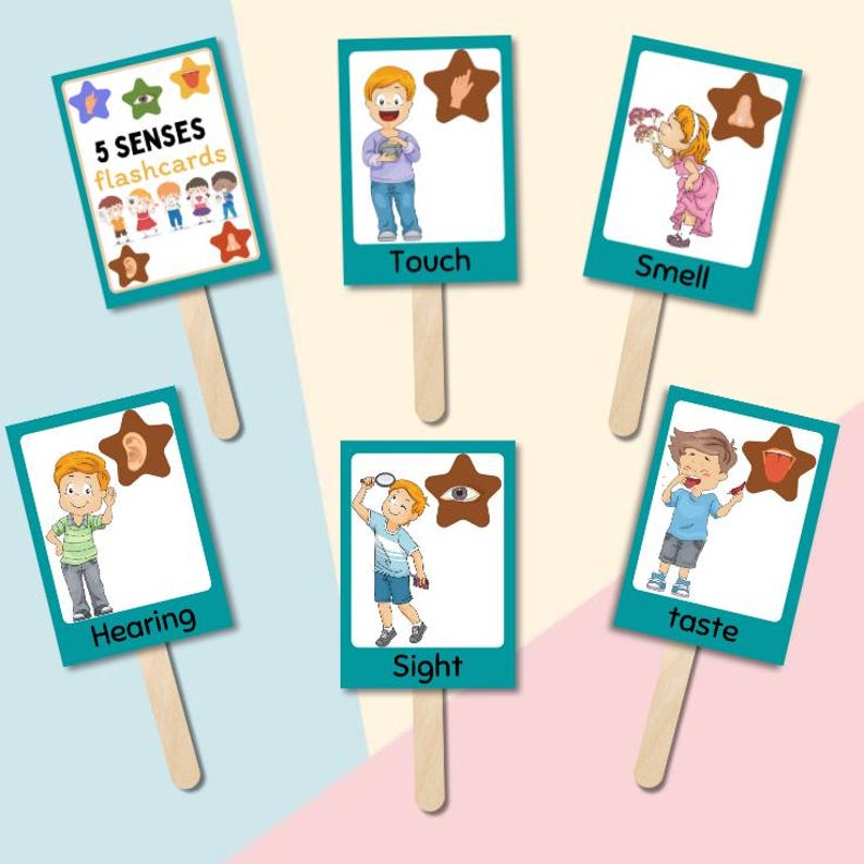 5 Senses Flashcards for Kids | Learn Touch, Smell, Taste, Sight ...