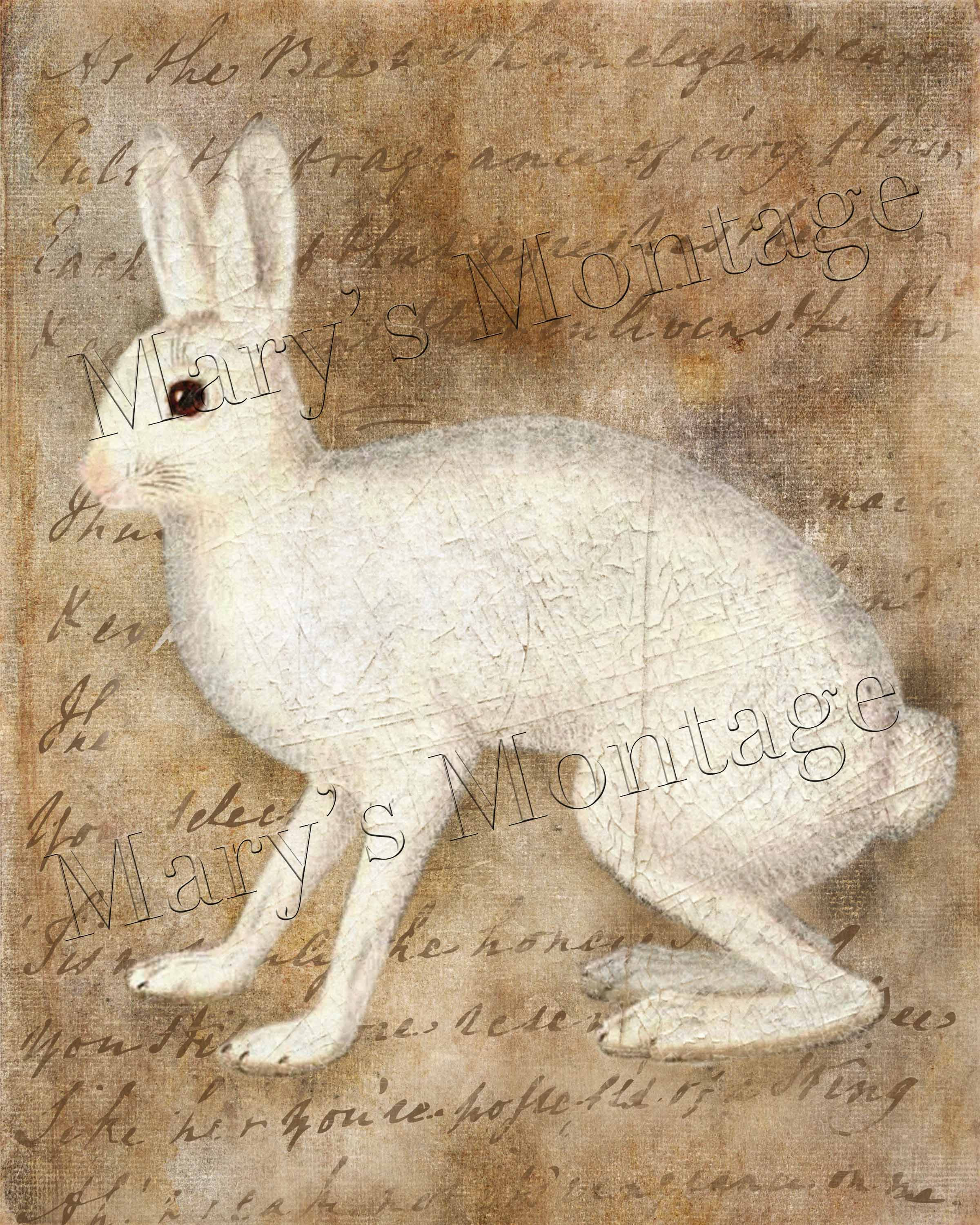 Set of 6 Vintage Rabbit Digital Download Prints 8x10 | Etsy