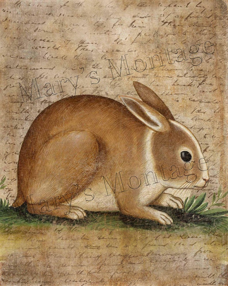 Set of 6 Vintage Rabbit Digital Download Prints 8x10 | Etsy
