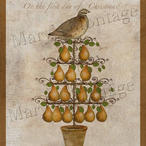Partridge Pear Tree - Etsy
