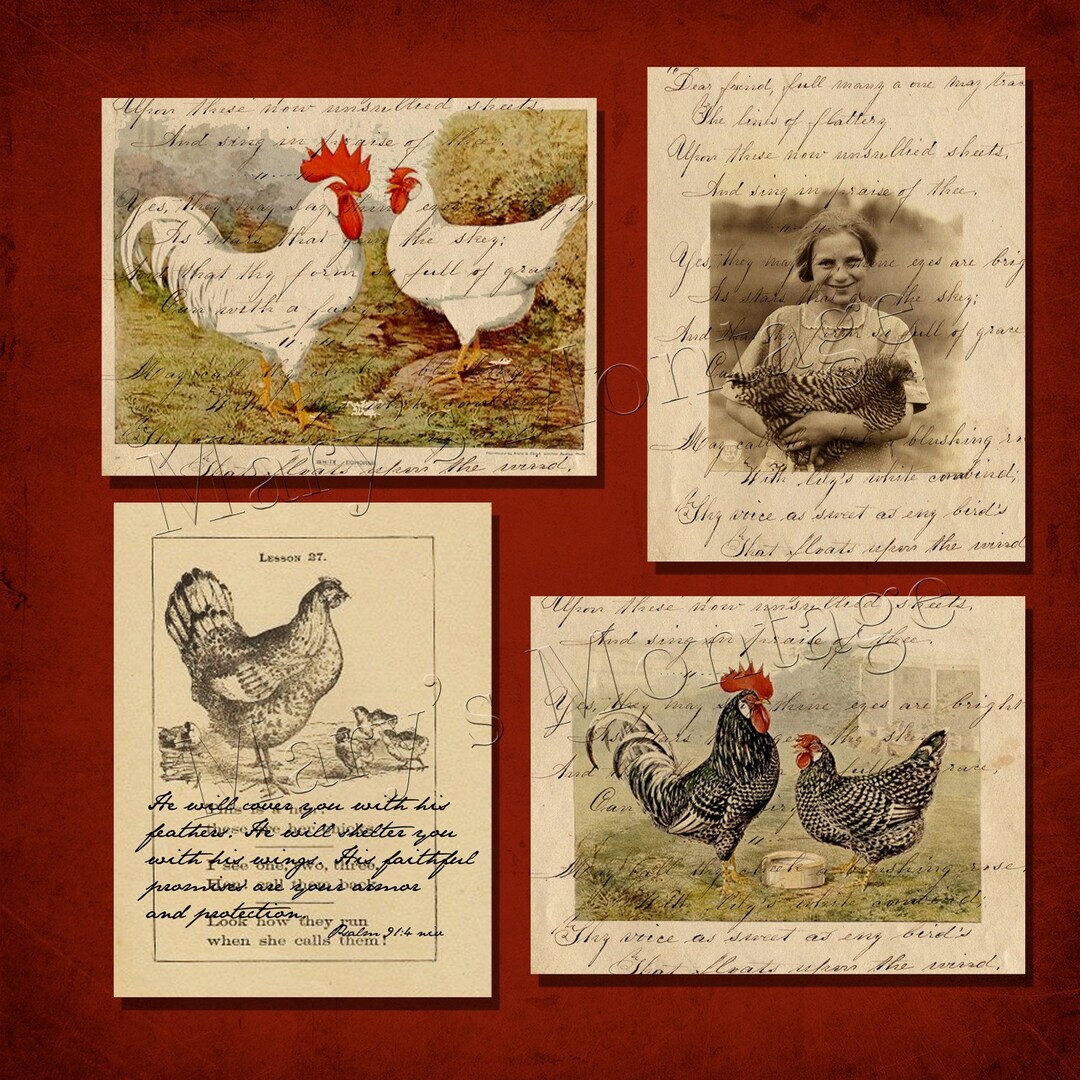 Chicken Digital Collage Sheet/ Pack - Etsy