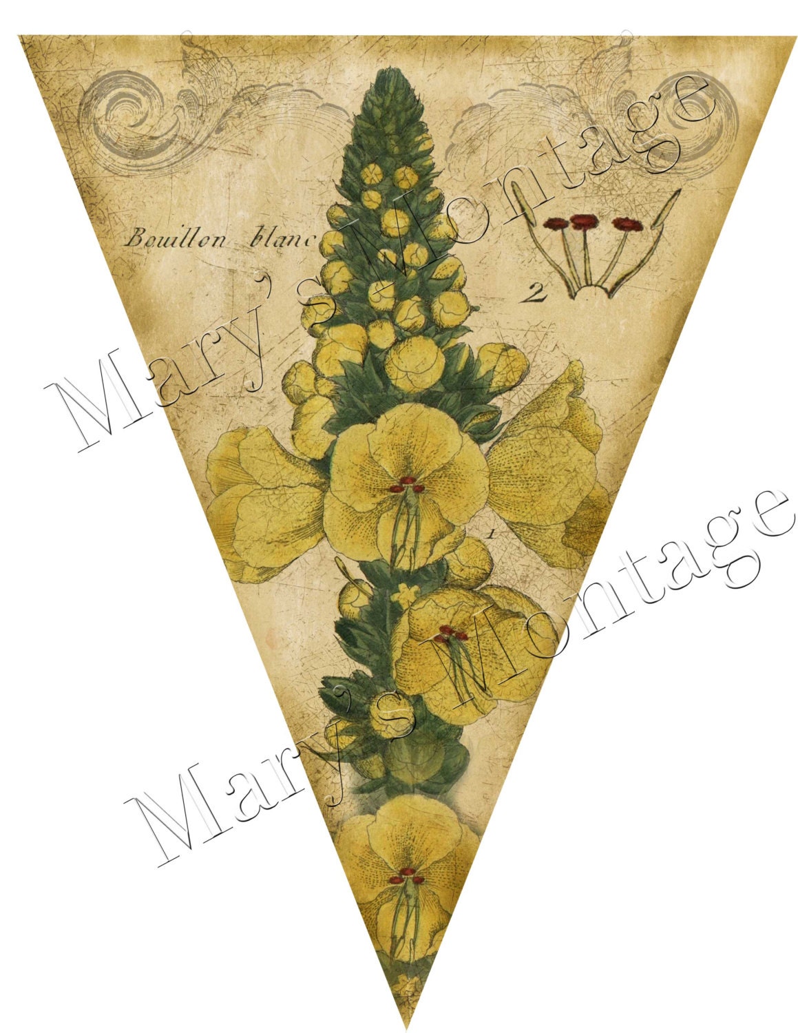 Botanical Vintage Flower Bunting Large Instant Download | Etsy