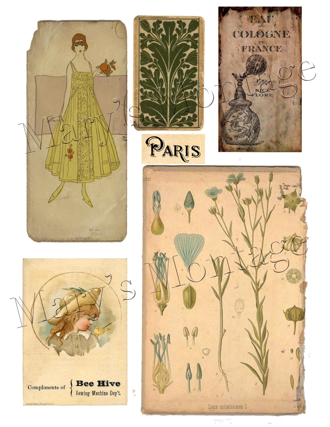 Digital Ephemera Collection 23 Items JPG & PNG - Etsy