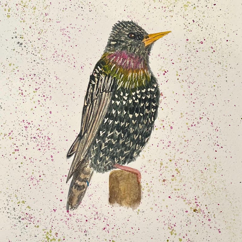 Singing Bird Drawing - Etsy UK