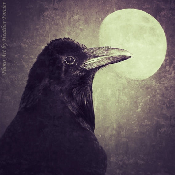 Items similar to Gothic Raven and Moon Photographic Art Print on Etsy