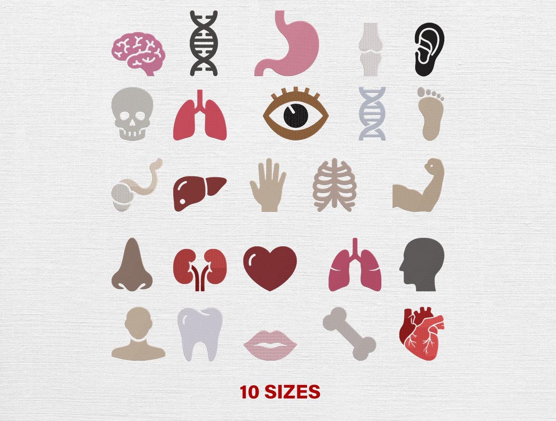 Anatomy Embroidery Design Set, Human Organs Icons (digital Download) - Etsy