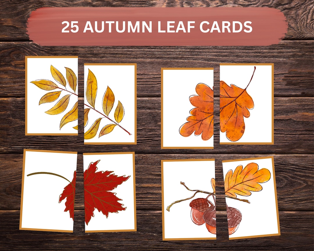 25 Autumn Leaf Matching, Puzzle Cards, Fall Learning Activity ...