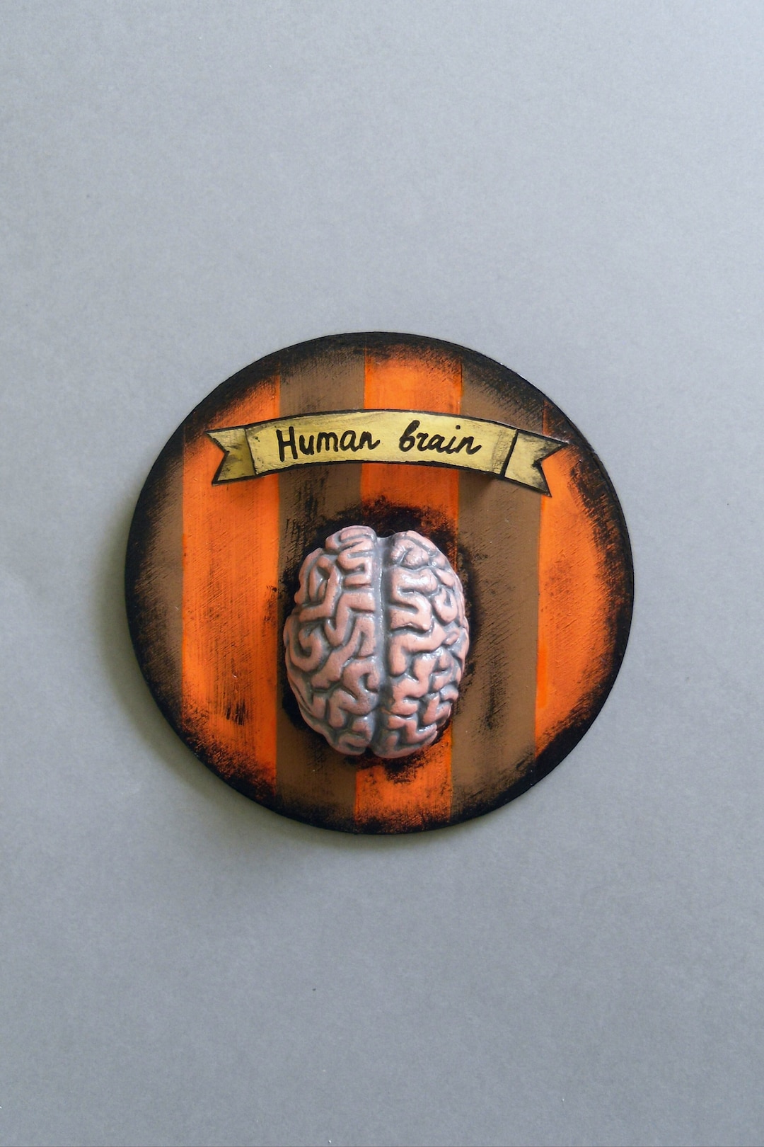 Halloween Home Decor, Spooky Brain Decor, Human Brain Decor, Fake ...