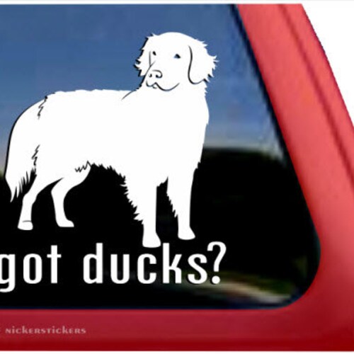 Nova Scotia Duck Tolling Retriever Silhouette Vinyl Sticker - Etsy