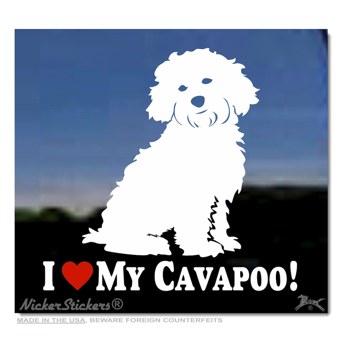 I Love My Cavapoo! | High Quality Adhesive Vinyl Cavalier King Charles ...