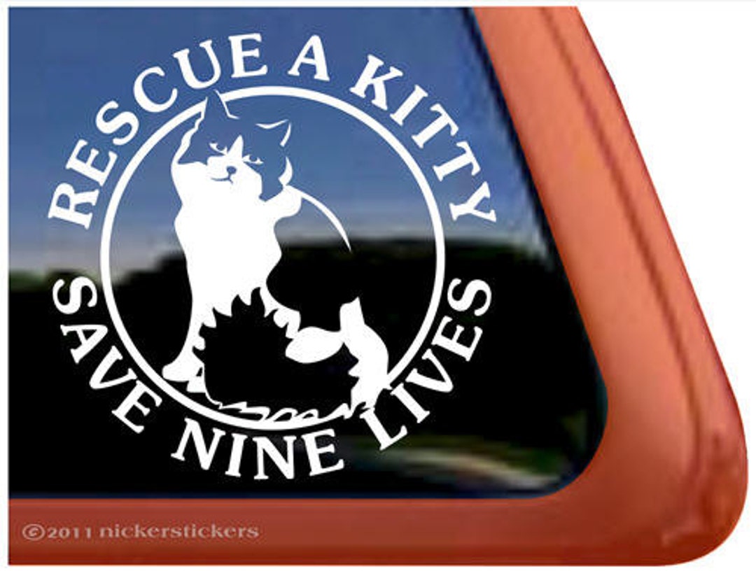 Rescue A Kitty.. | DC402RES | - High Quality Adhesive Vinyl Window ...