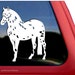 POA Spotted Pony Decal | DC887PL-L | High Quality Adhesive Vinyl Pony ...