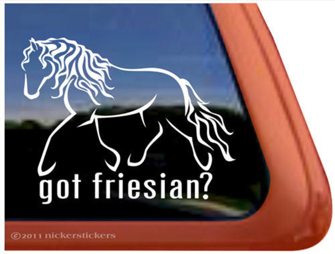 Got Friesian? | DC692GOT | High Quality Adhesive Vinyl Friesian Horse ...