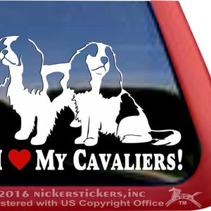I Love My Cavaliers! | DC1074HEA | High Quality Adhesive Vinyl Cavalier ...