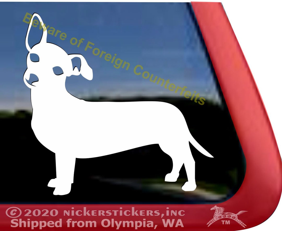 Cute Chiweenie With Floppy Ear | DC709PL | High Quality Adhesive Vinyl ...