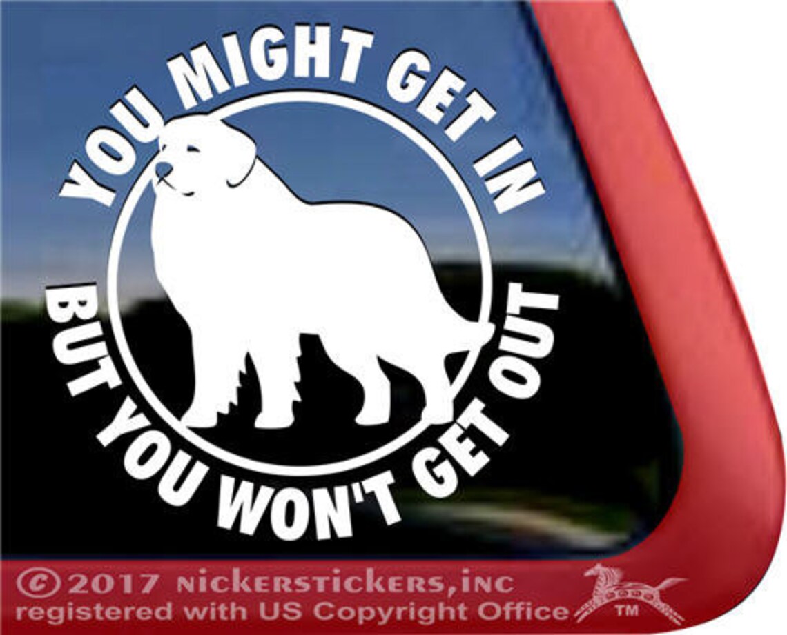 You Might Get in but You Wont Get Out DC351OUT High - Etsy