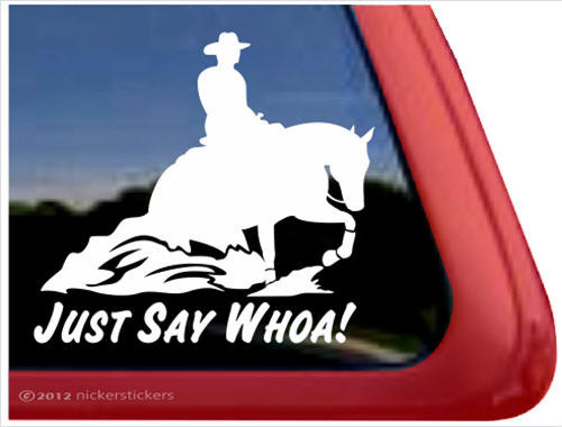 Just Say Whoa DC458SP2 High Quality Adhesive Vinyl - Etsy