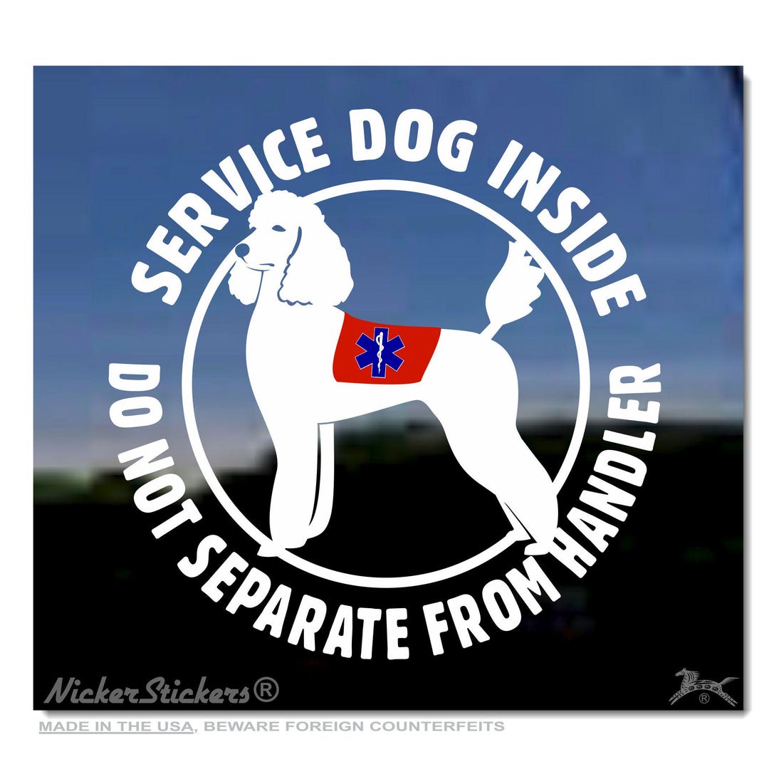 Service Dog Inside, Do Not Separate From Handler | High Quality ...