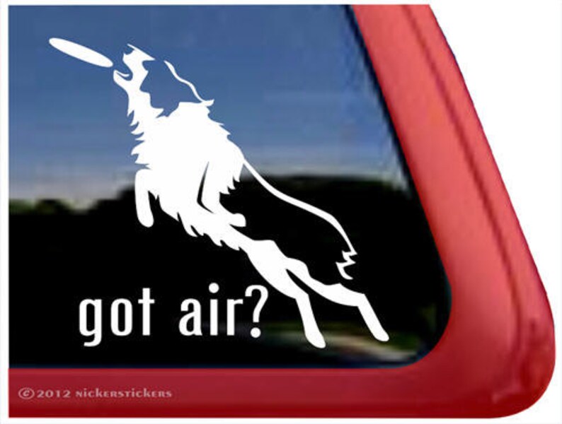 Australian Shepherd Got Air | DC290GOT | High Quality Adhesive Vinyl ...