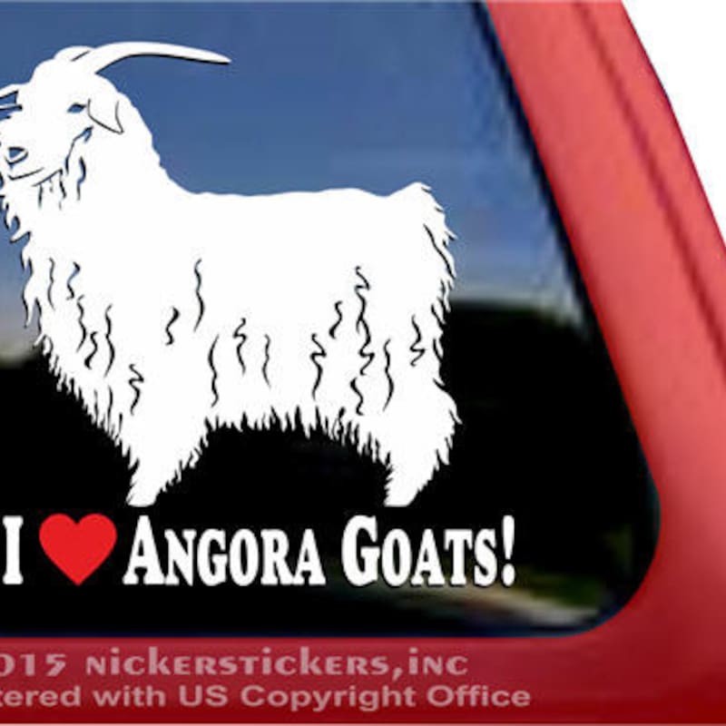 Angora Goat - Etsy