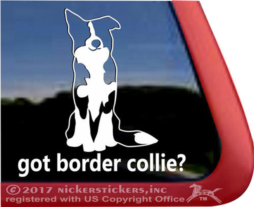 Got Border Collie? | DC138GOT | High Quality Border Collie Window Decal ...