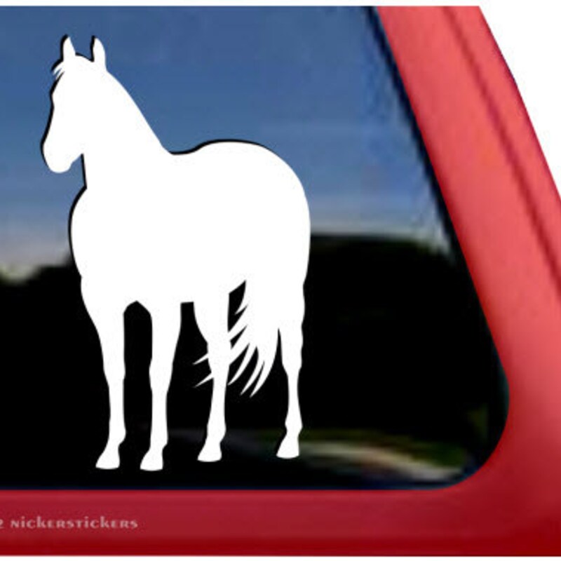 Aqha Decal - Etsy