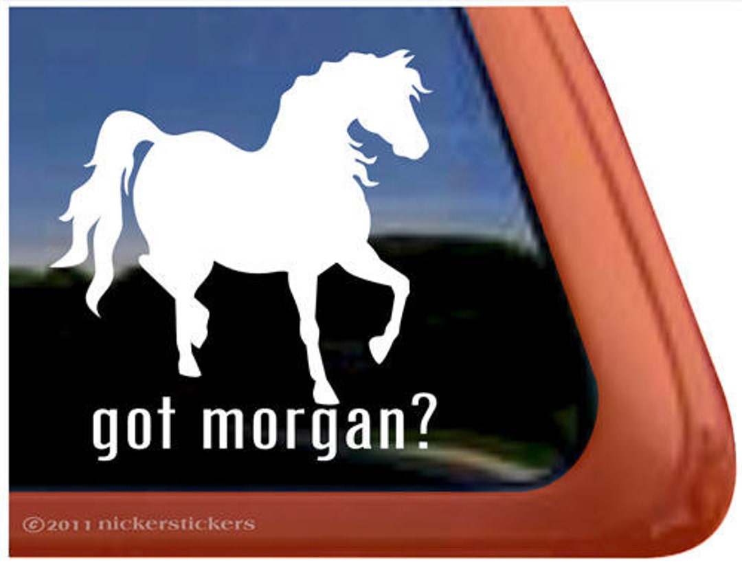 Got Morgan? | DC443GOT | High Quality Adhesive Vinyl Morgan Horse ...
