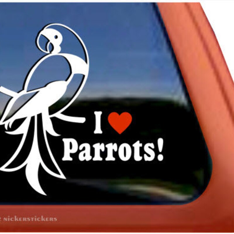 Parrot Decal - Etsy