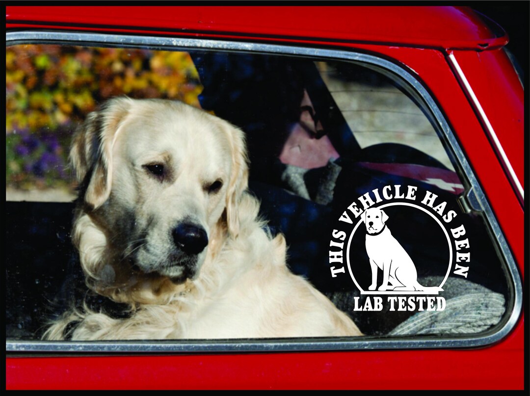 This Vehicle Has Been Lab Tested High Quality Adhesive Labrador ...