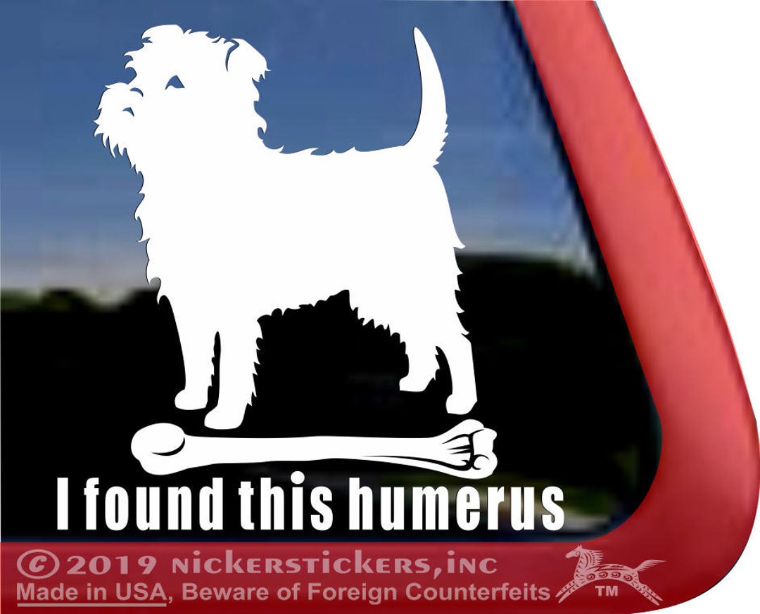 I Found This Humerus | DC300PL | High Quality Adhesive Vinyl Window ...