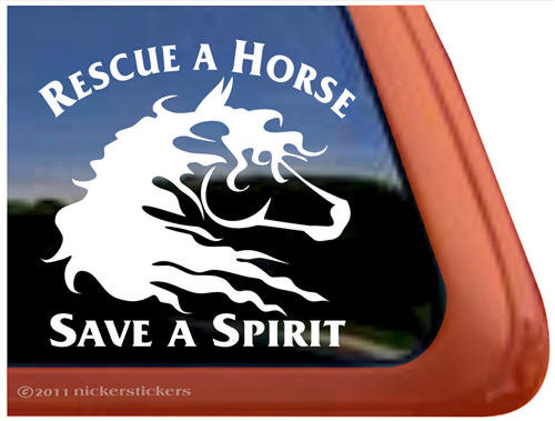 Rescue A Horse Save A Spirit Wild Horse | DC472RES | High Quality ...